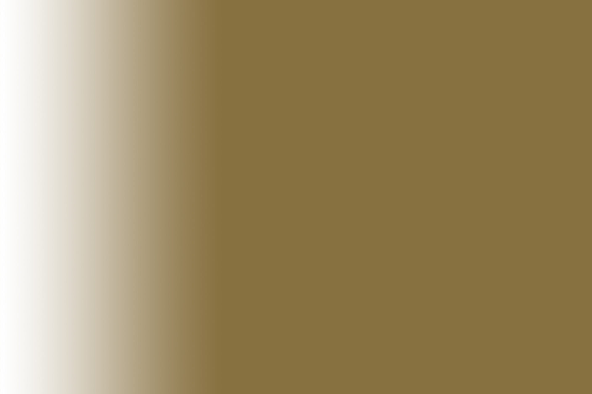 MONTANA-GOLD-400ML-M 3010 | MONTANA CANS JAPAN OFFICIAL STORE